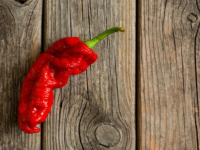 3 Of The Best Ghost Pepper (Bhut Jolokia) Hot Sauces To Try - Mantry Inc.
