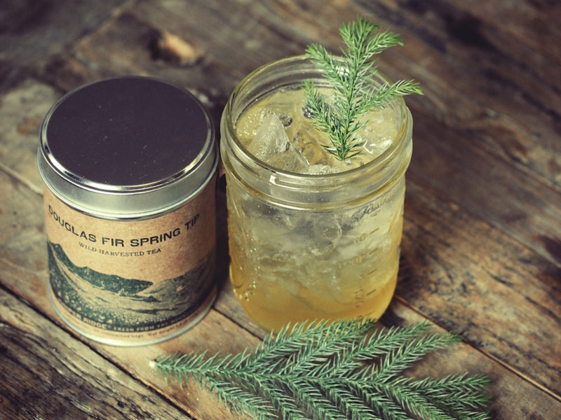 Douglas Fir Gin & Soda - Mantry Inc.