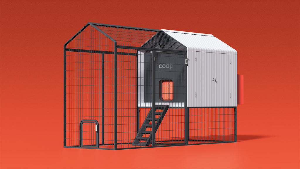 The Tesla Of Chicken Coops - Mantry Inc.