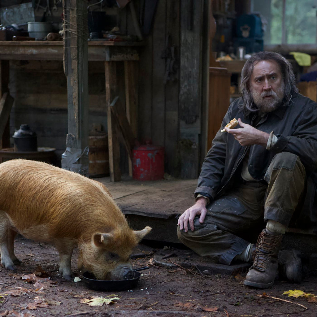 Nic Cage Truffle Pig Movie? Why even have The Oscars this year ...
